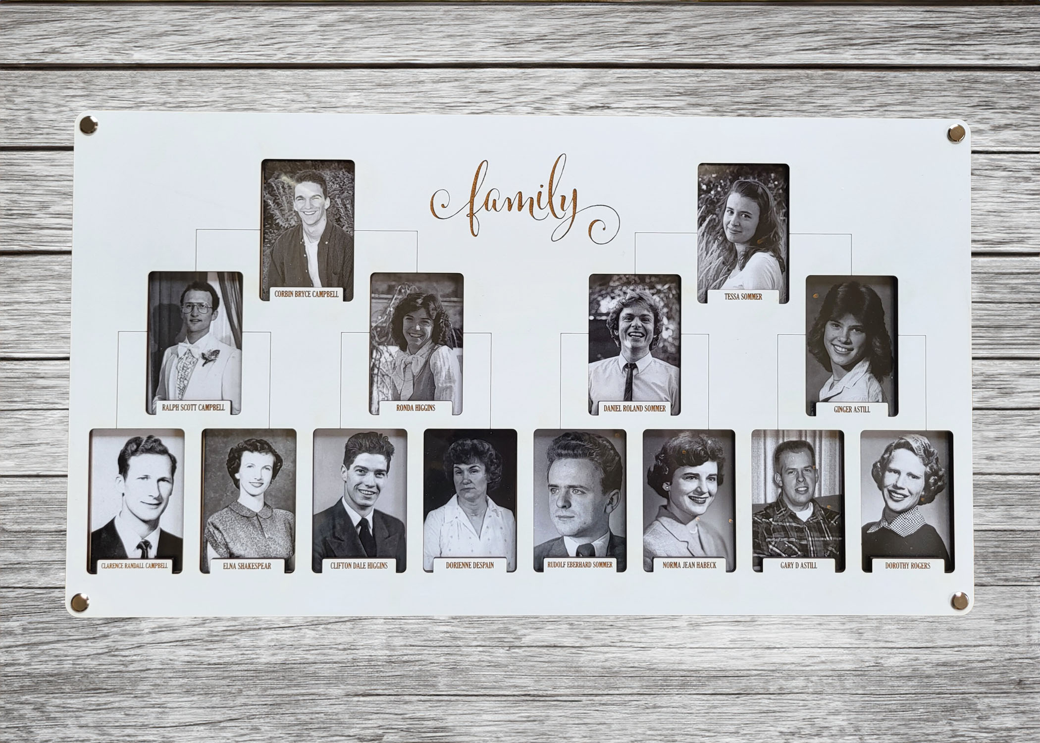 3 Generation Photo Frame - TessElation